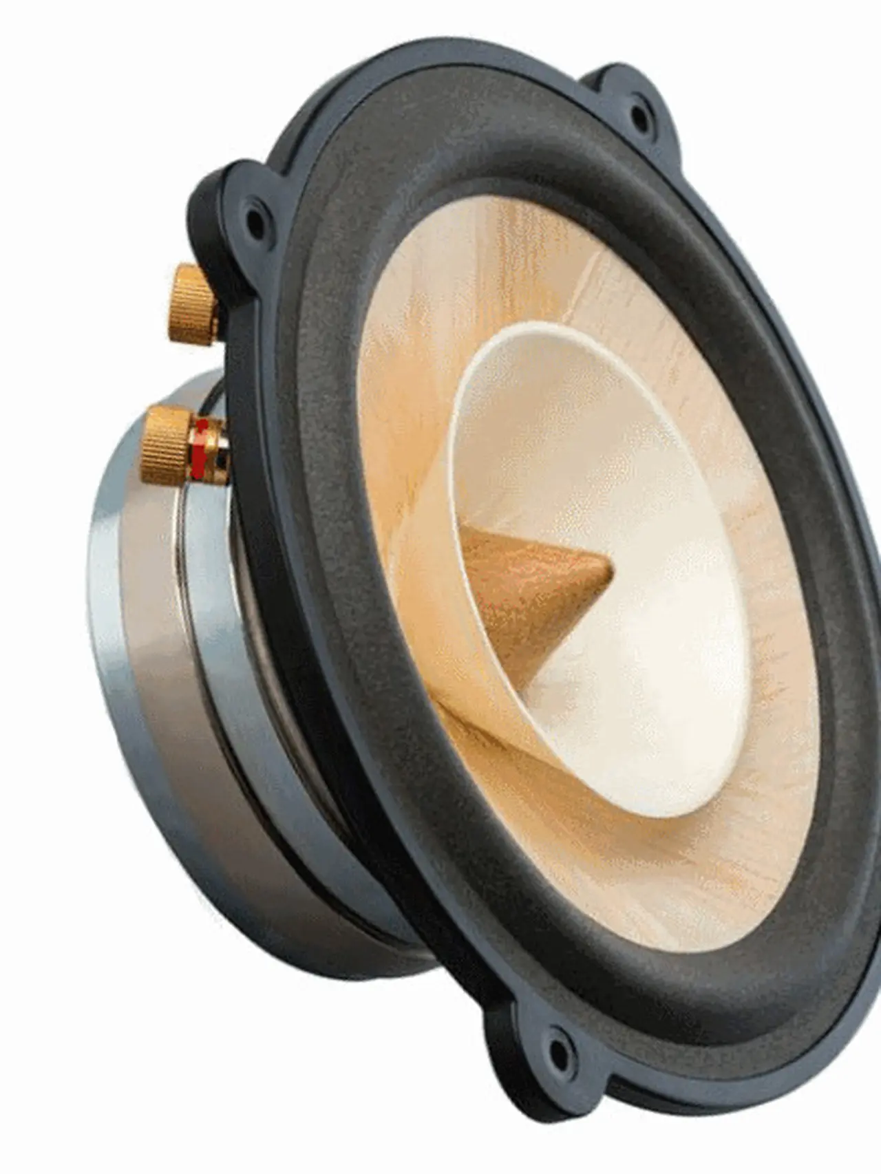 Jenis-Jenis Speaker Beserta Gambarnya, Ketahui Fungsinya - Hot Liputan6.com