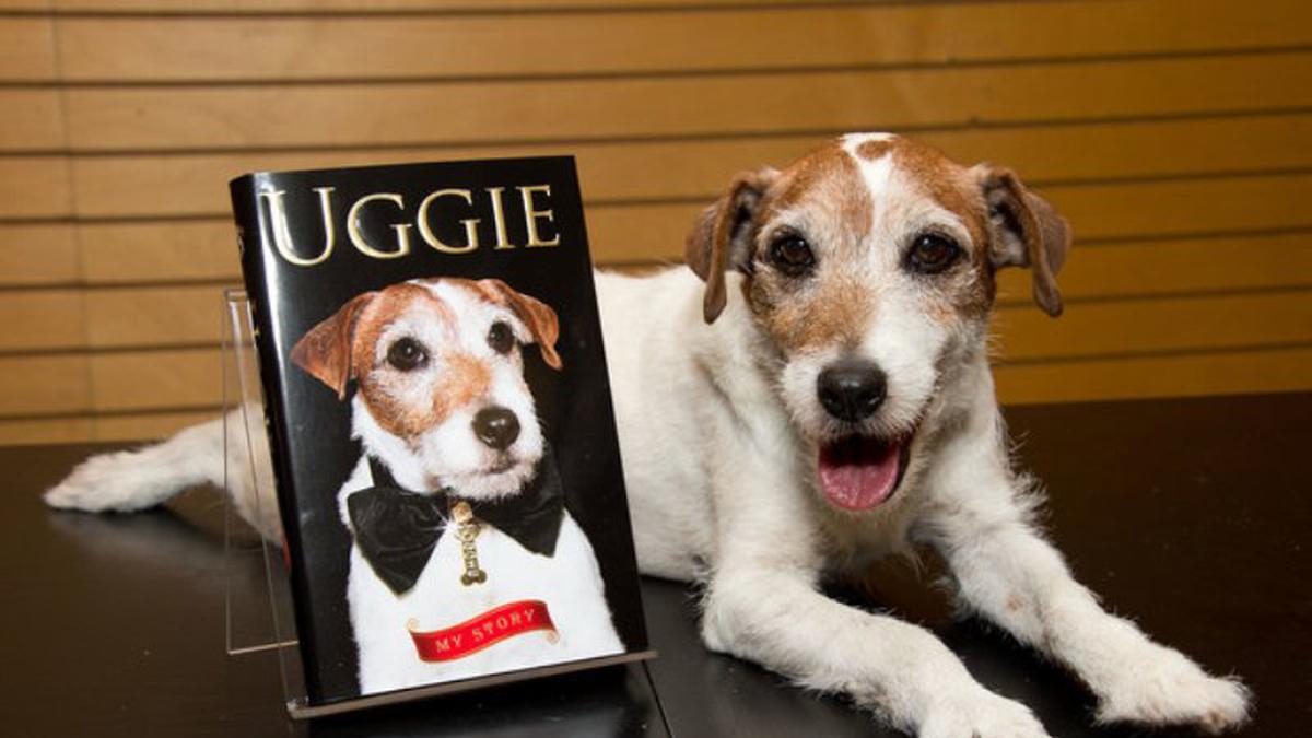 Mengenang Uggie, Anjing di The Artist yang Telah Tiada - ShowBiz ...