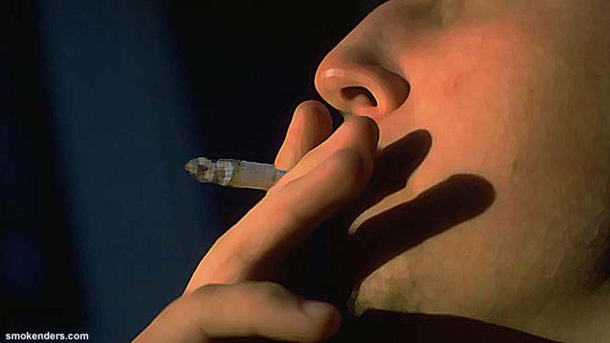 Filter Rokok yang Anda Isap dari Darah Babi? - Health Liputan6.com