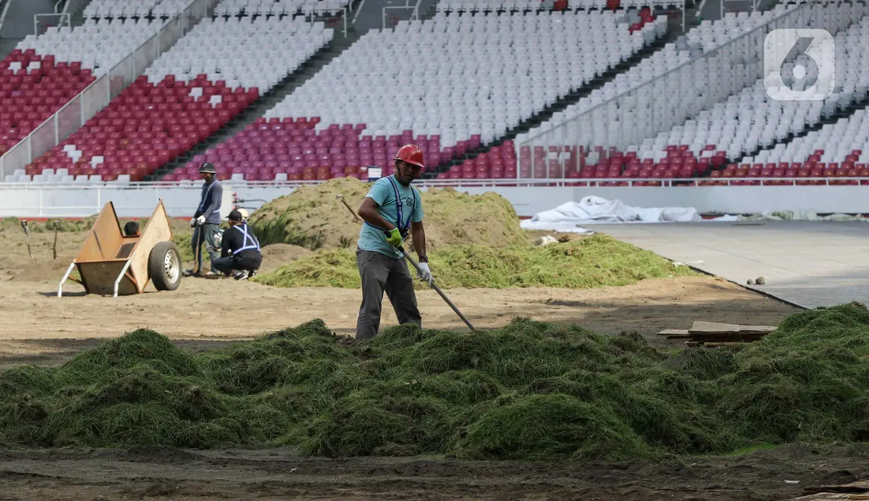 Sambut Babak Ketiga Kualifikasi Piala Dunia 2026, Rumput Stadion Utama ...