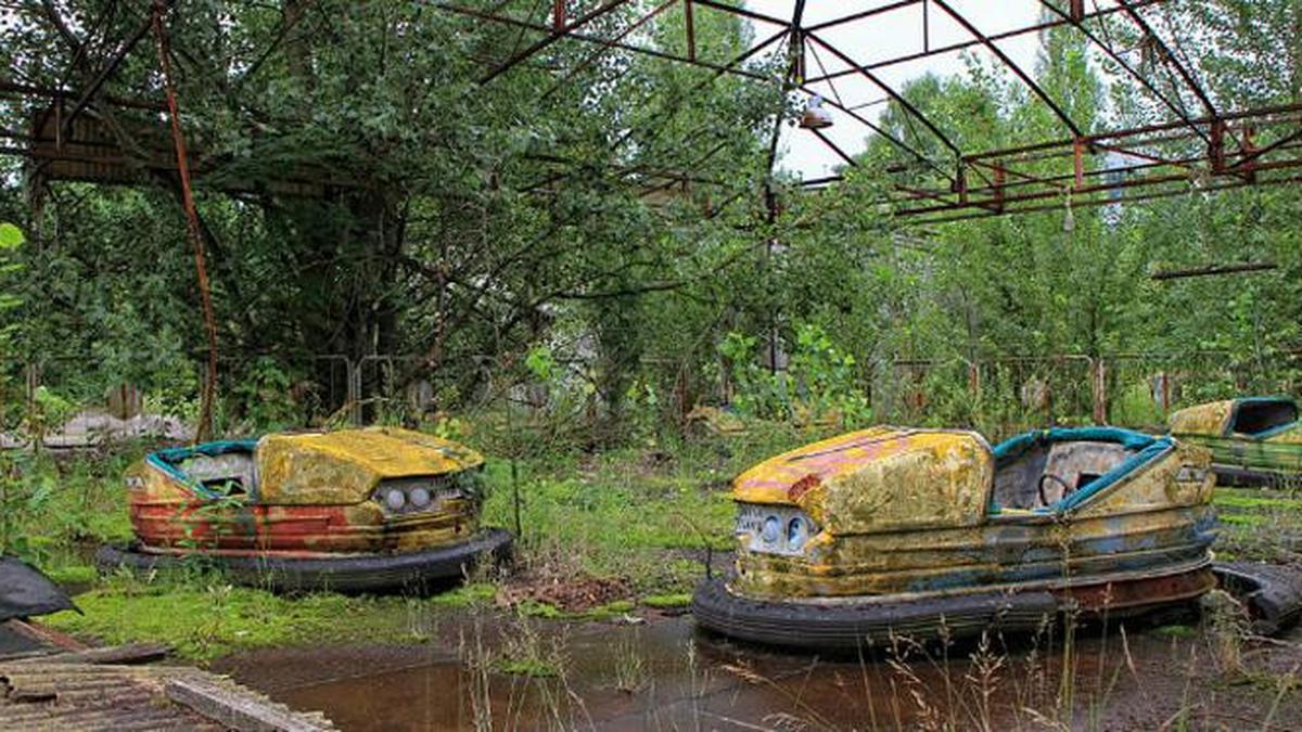 Fakta di Balik Cara Tanaman Bertahan dari Ledakan Nuklir Dahsyat Chernobyl