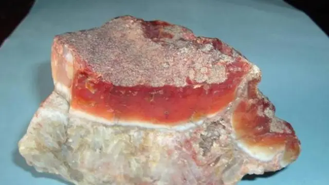 7 Barang Termahal Paling Tidak Berguna di Dunia - Citizen6 Liputan6.com