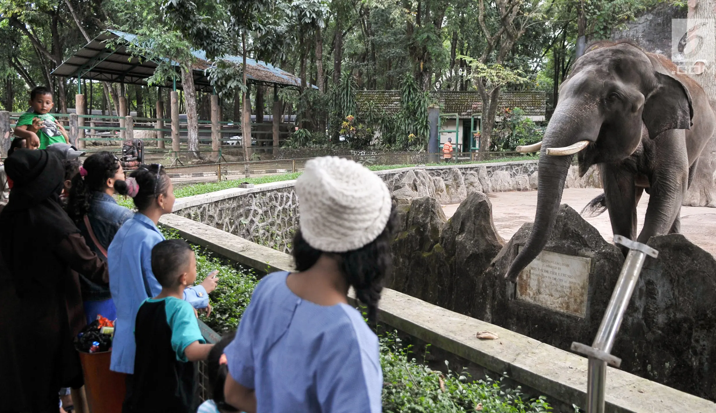 Lebaran Ke-2, Kebun Binatang Ragunan Penuh Pengunjung - Foto Liputan6.com