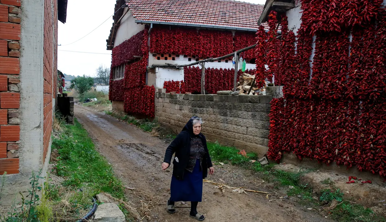 Kampung Merah, Desa di Serbia yang Rumah Warganya Berselimut Paprika ...