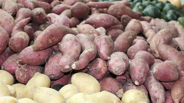 Sering Disamakan, Ini Perbedaan Taro dan Ubi Ungu - Hot Liputan6.com