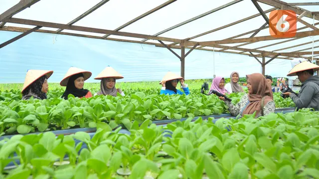 Usung Konsep Agrotechnopark, Desa Batulicin Irigasi Berbenah Menuju ...