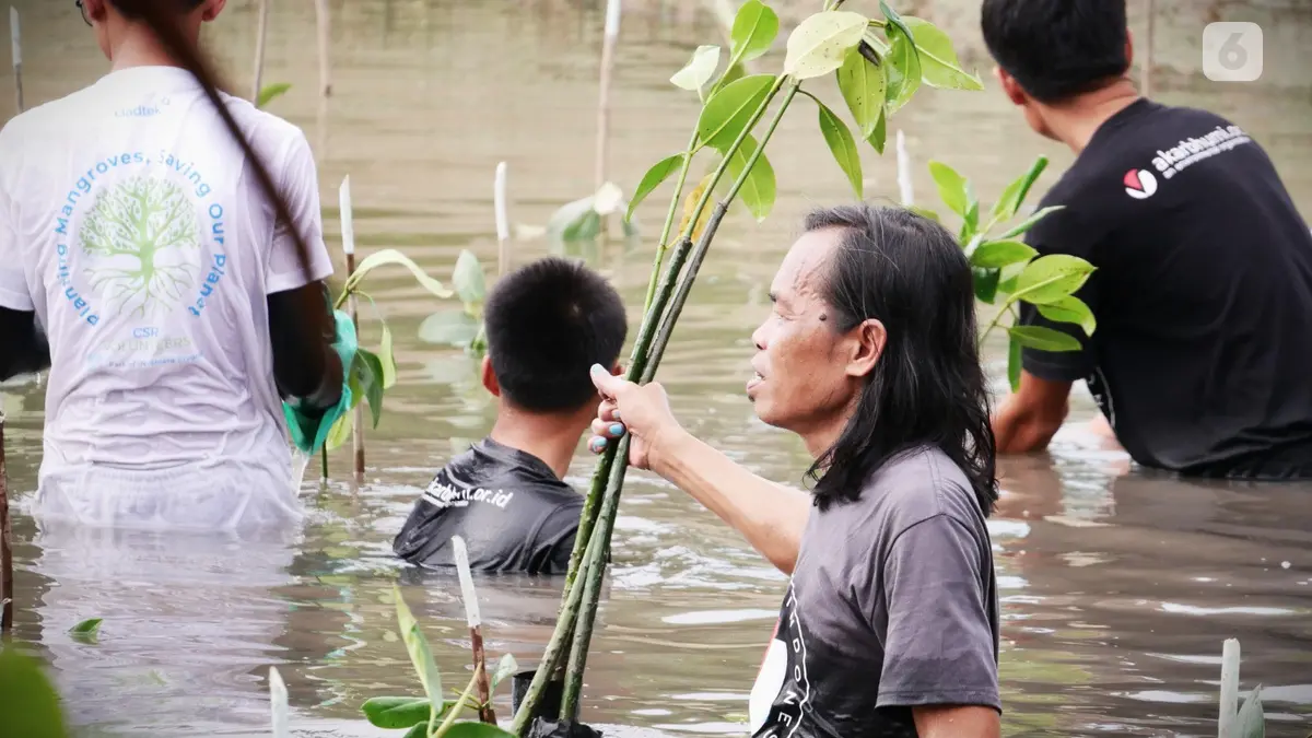 Berita Batam Hari Ini - Kabar Terbaru Terkini | Liputan6.com