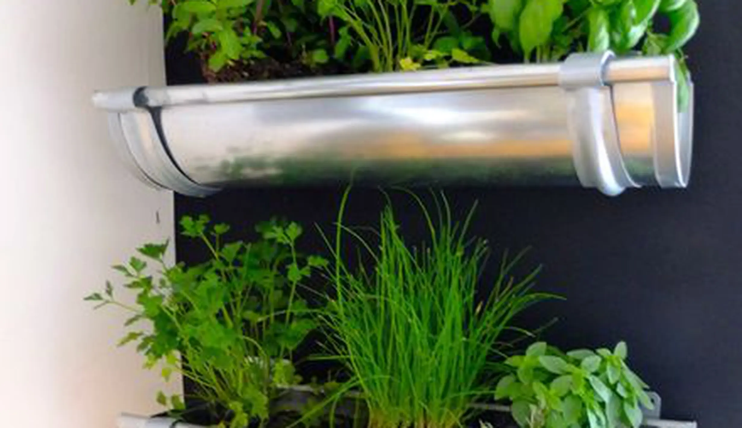 10 Ide Go Green Menanam Bumbu Dapur Di Dalam Rumah - Photo Fimela.com