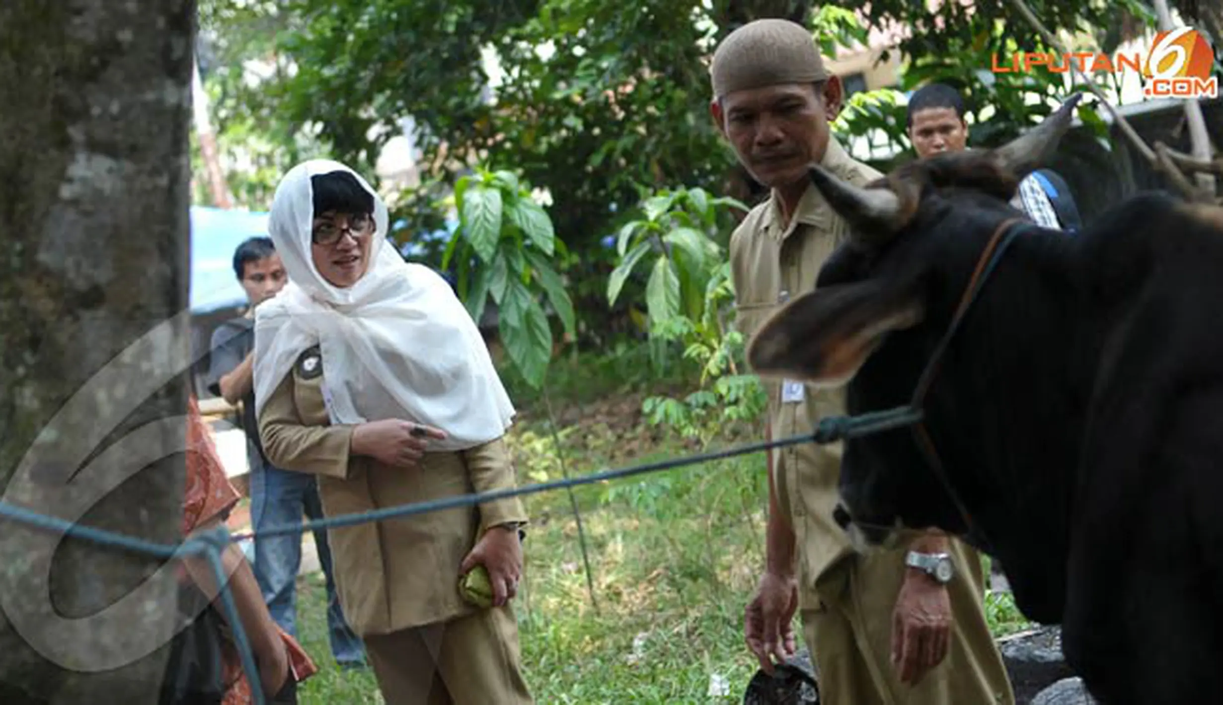 Wah, Lurah Susan Jasmine Ikut Potong Sapi - Foto Liputan6.com