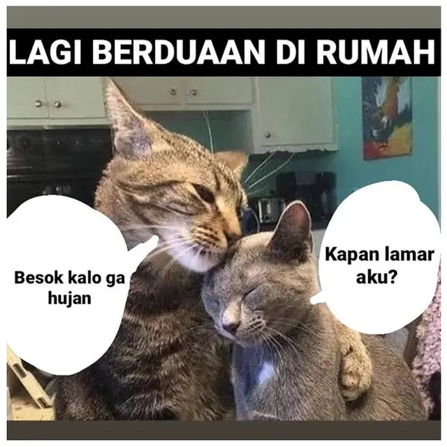 10 Gambar Kata-Kata Lucu yang Bikin Ngakak, Membawa Senyum di Wajahmu ...