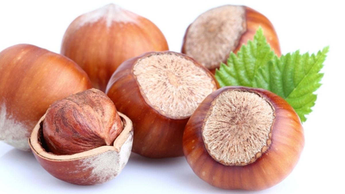 5 Manfaat Makan Kacang Hazelnut - Beauty Fimela.com