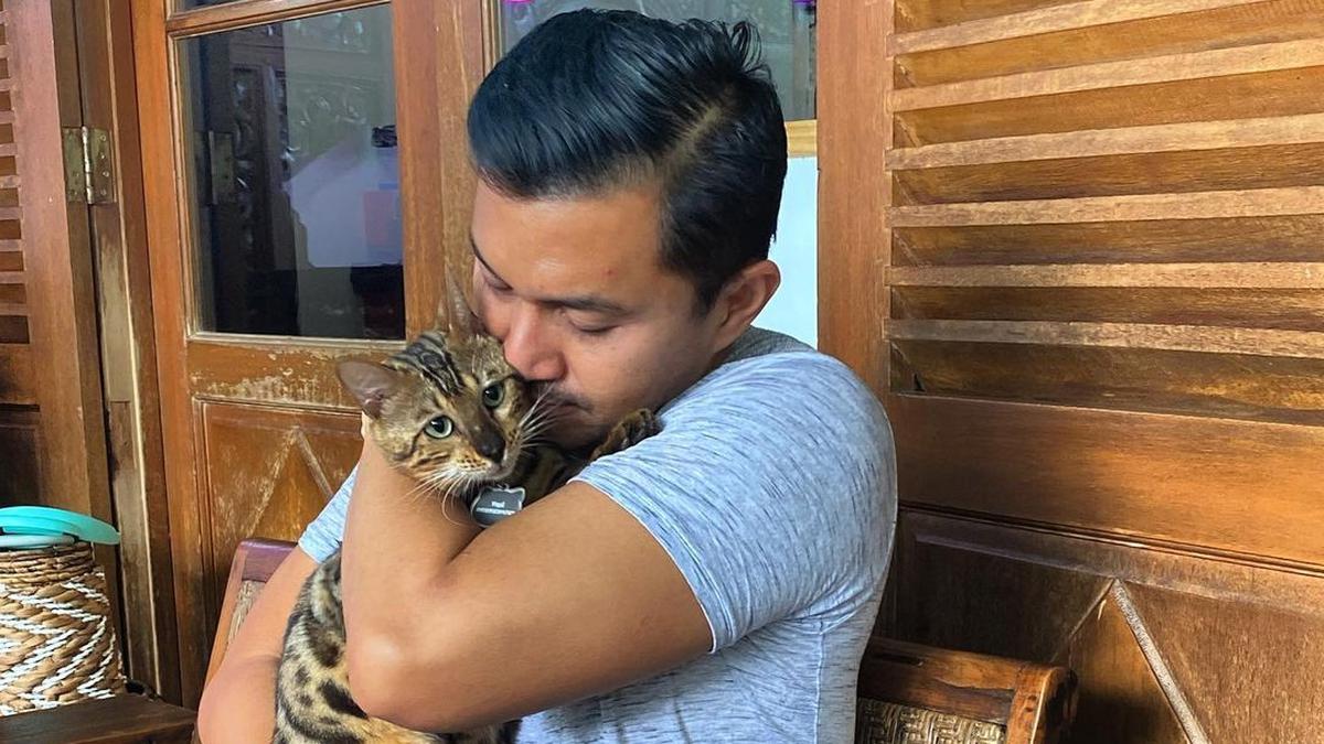 Anjasmara Siapkan Hadiah Bagi yang Menemukan Kucingnya - Entertainment ...