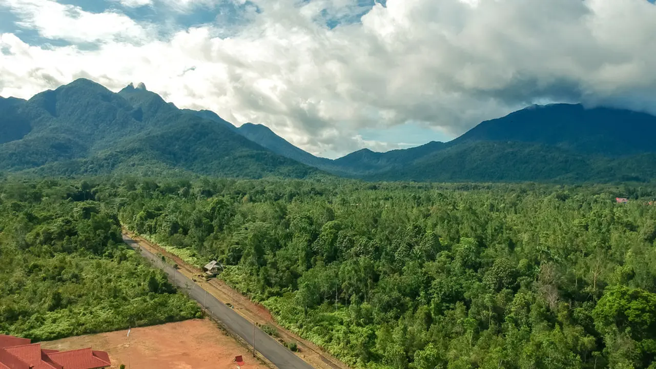 Pesona Gunung Daik yang Jadi Titik Tertinggi di Kepulauan Riau ...