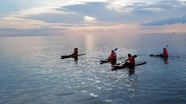 Jelajah Ekowisata Mangrove dan Main Kano di Desa Wisata Sungai Kupah ...