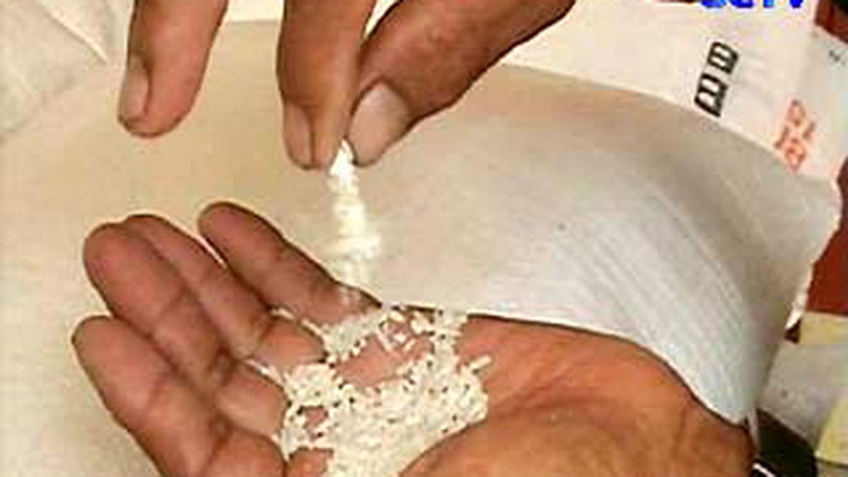 Beras Raskin Berulat dan Bau - News Liputan6.com