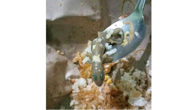 6 Potret Penemuan Cicak Mati di Makanan Ini Bikin Hilang Nafsu Makan ...
