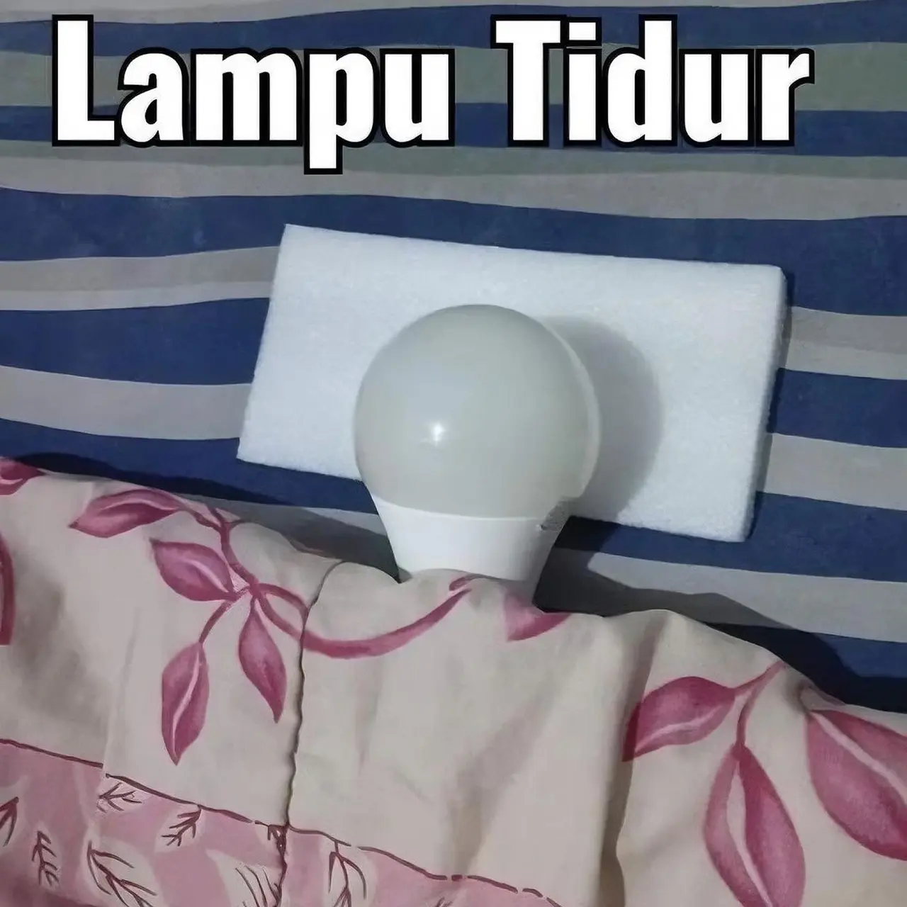 10 Meme Benar Tapi Salah Ini Bikin Geleng Kepala, Kocak Banget - Hot ...