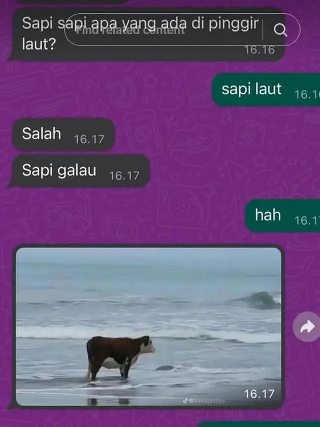 6 Balasan Chat Pakai Gambar Ini Absurd Banget, Jadi Bingung Jawabnya ...