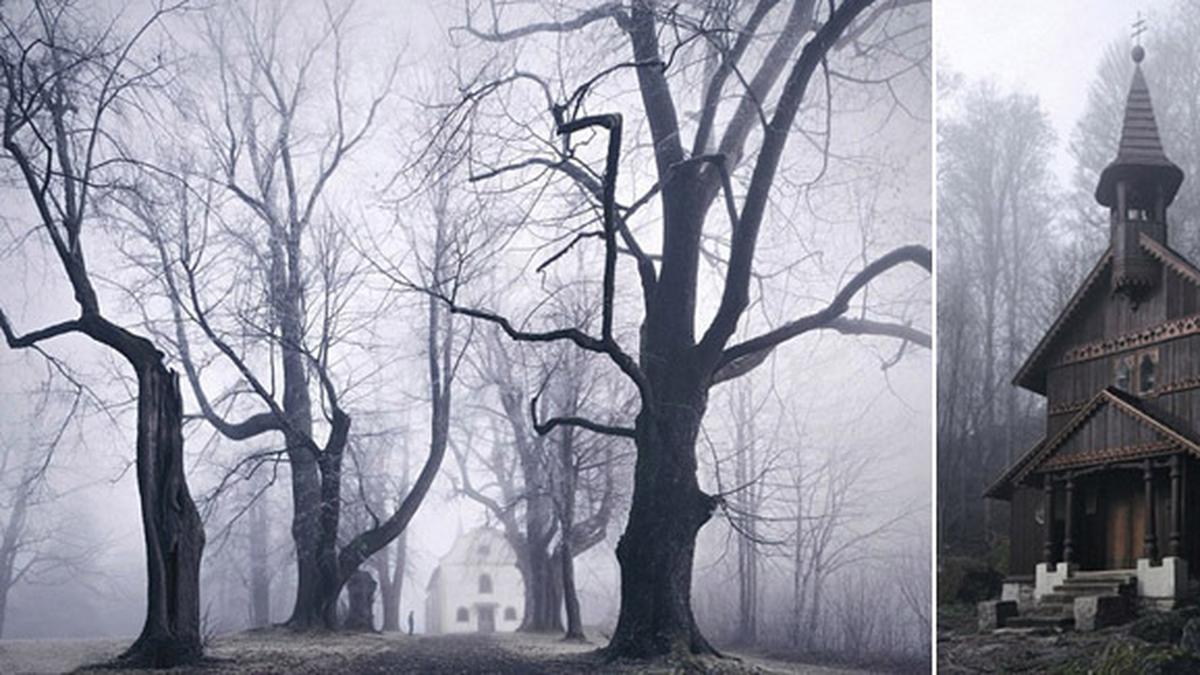 Coba Lihat Foto-Foto Ini, Hutan dan Kastil Angker Ternyata Menyimpan ...