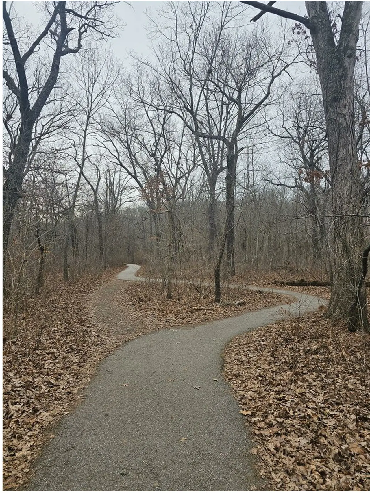 6 Potret Jalan Pintas yang Dibuat Tanpa Perencanaan, Jadi Jalur Favorit ...