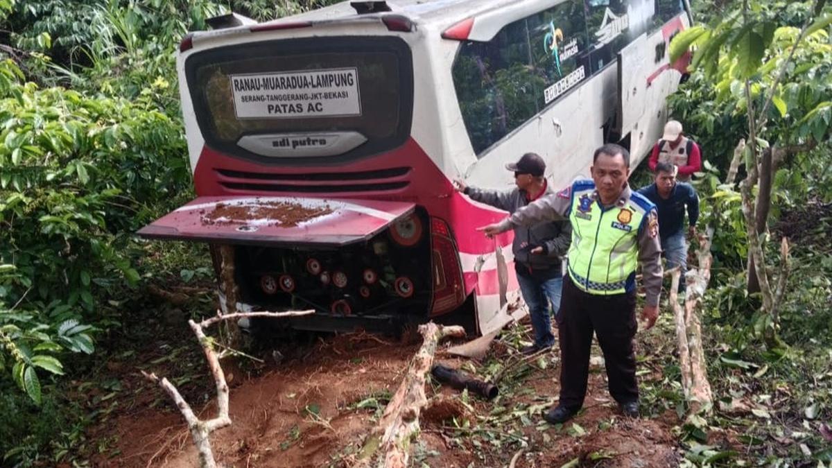 Bus Ranau Indah Terjun ke Jurang Sedalam 50 Meter di Lampung Barat ...