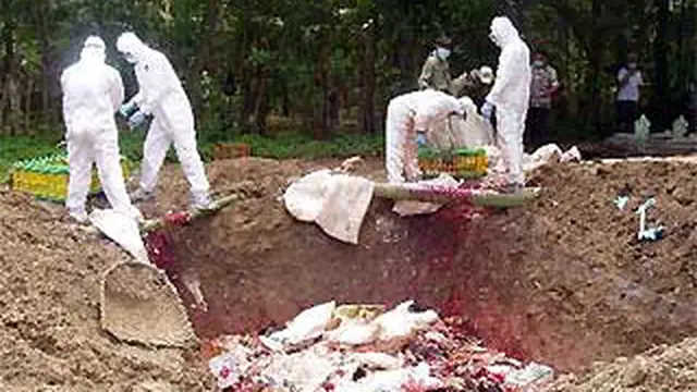 Flu Babi Menyerang Hewan Peliharaan - Health Liputan6.com