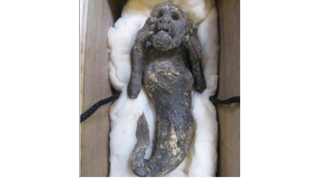 Ilmuwan Sebut Mumi 'Putri Duyung' Misterius di Jepang Boneka Buatan Penipu