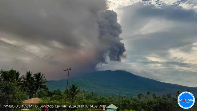 Gunung Lewotobi Laki-Laki Erupsi Lagi, Semburkan Abu Vulkanik Setinggi 2.000 Meter - Regional ...