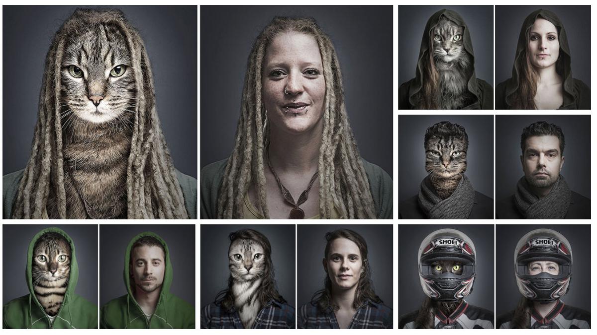 Miripkah Kucing dan Pemiliknya Ini? - Global Liputan6.com