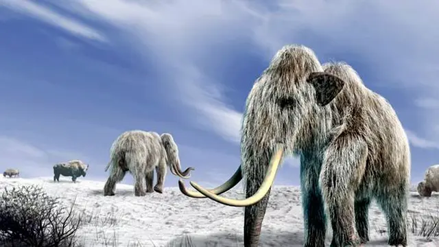 Mengenal Mammoth, Gajah Purba yang Punah - Hot Liputan6.com