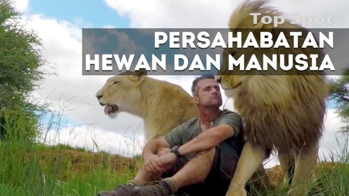 TOP SPOT: 6 Kisah Haru Persahabatan Hewan dan Manusia - Video Liputan6.com