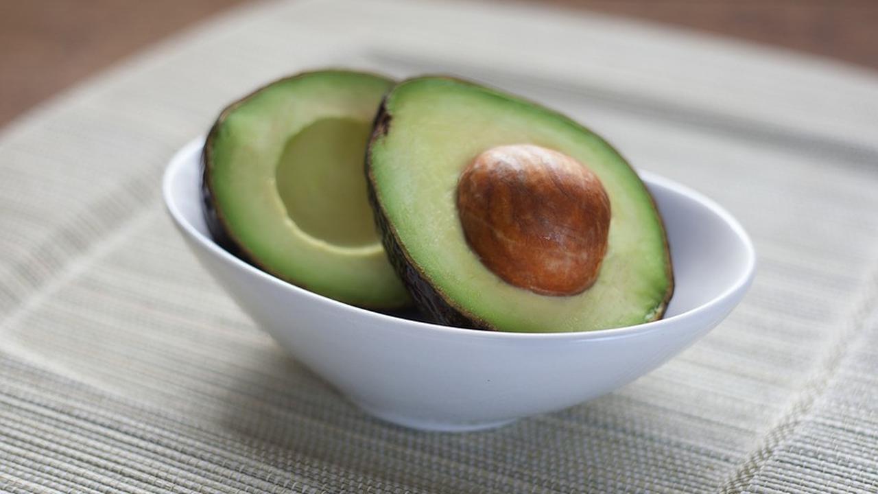 Cara Menanam Alpukat dari Biji, Panduan Lengkap Pemilihan hingga Panen