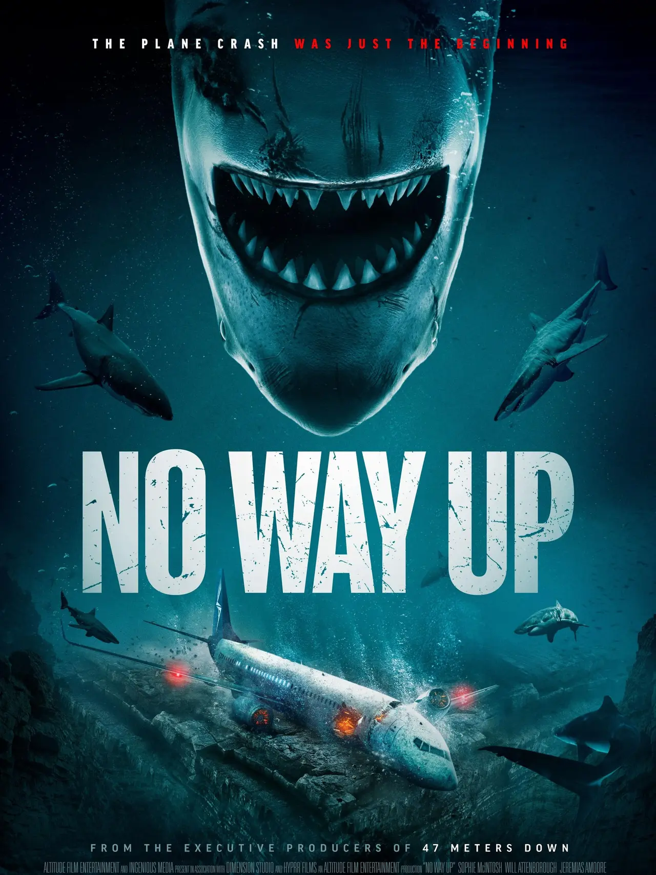 6 Karakter Penting Film No Way Up, Tragedi Pesawat Jatuh ke Laut Lepas ...