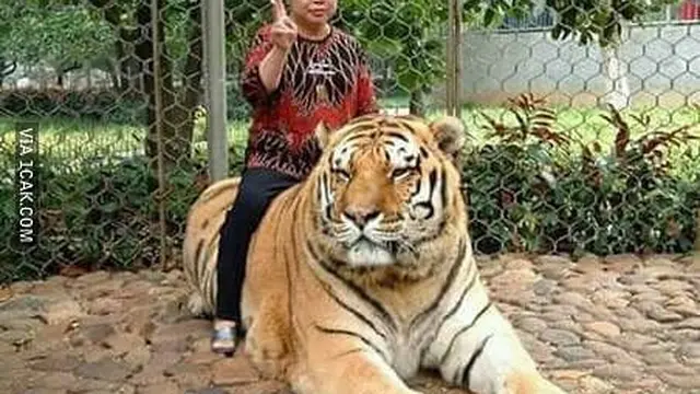 6 Potret The Power Emak Emak Saat Beraksi Ini Bikin Geleng Kepala - Hot ...