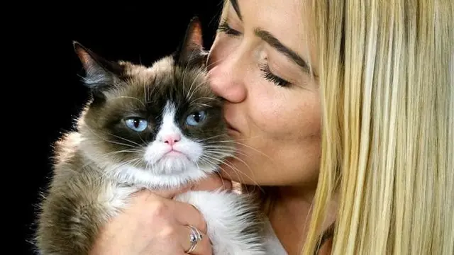Inilah Kumpulan Potret Kucing Berwajah Galak, si Grumpy Cat - Global ...