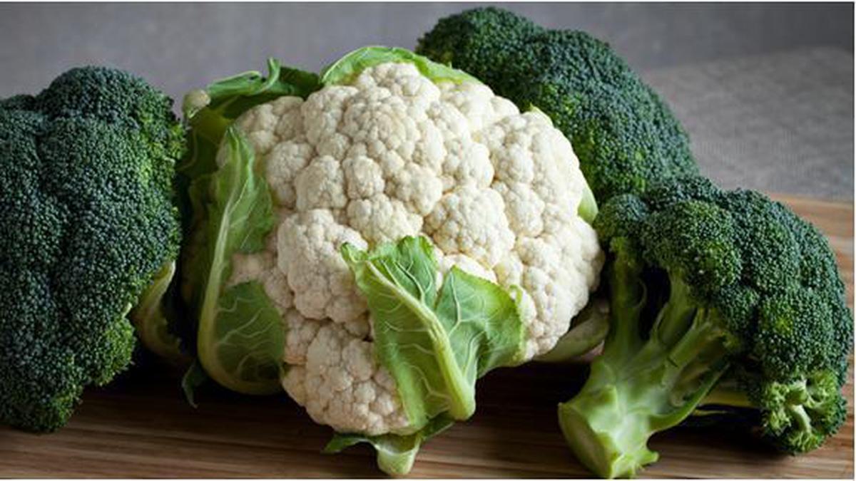 Bunga Kol Bermanfaat Untuk Anda Yang Sedang Hamil