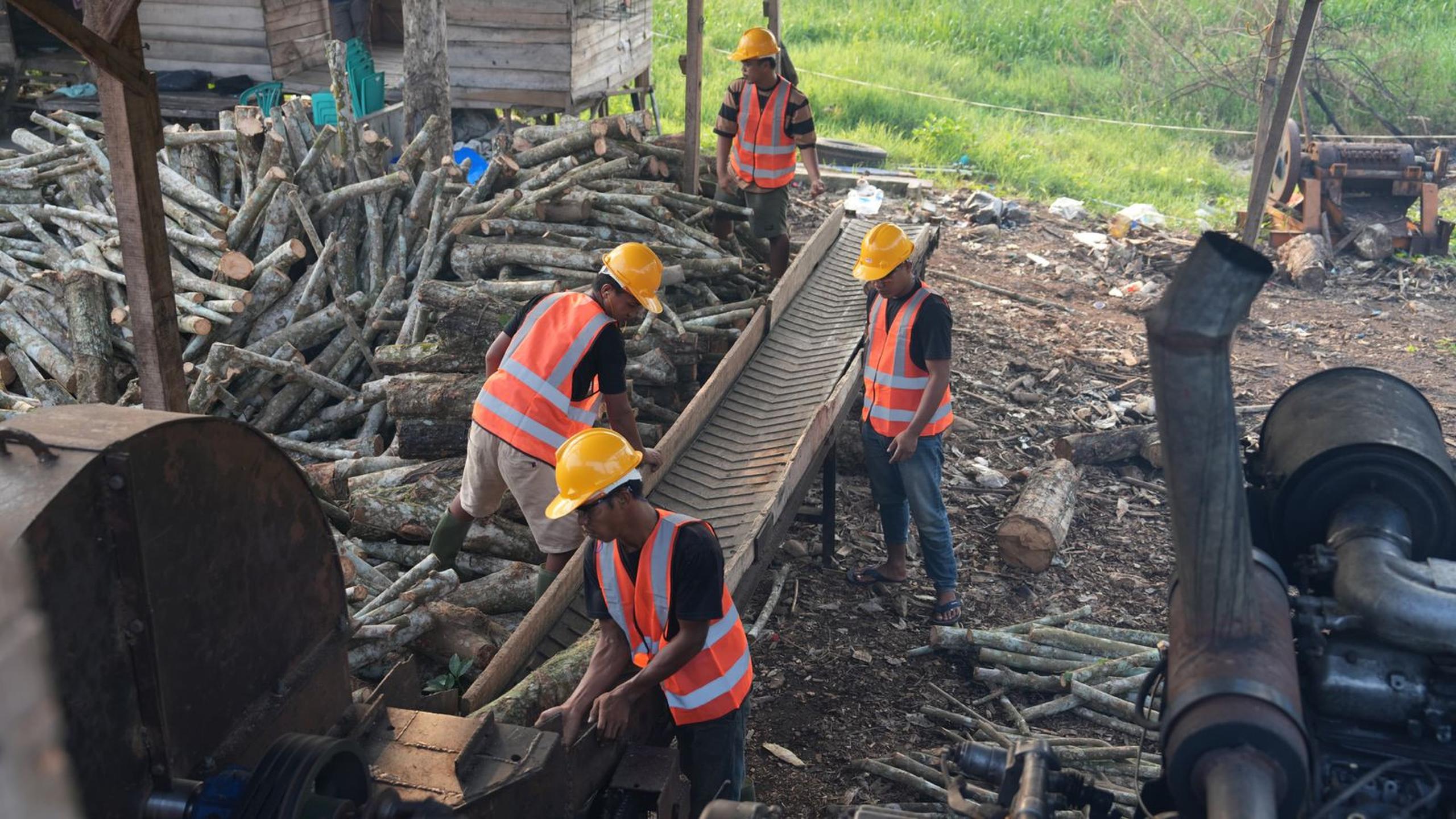 Punya Potensi 80 Juta Ton, Pemanfaatan Biomassa Pembangkit Listrik RI ...