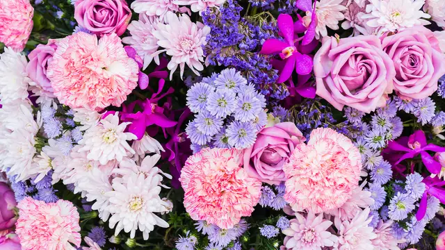 5 Contoh Puisi tentang Bunga, Penuh Pesan Menginspirasi - Ragam Bola.com