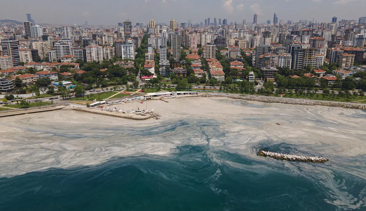 FOTO: Ingus Laut Penuhi Laut Marmara Turki - Foto Liputan6.com