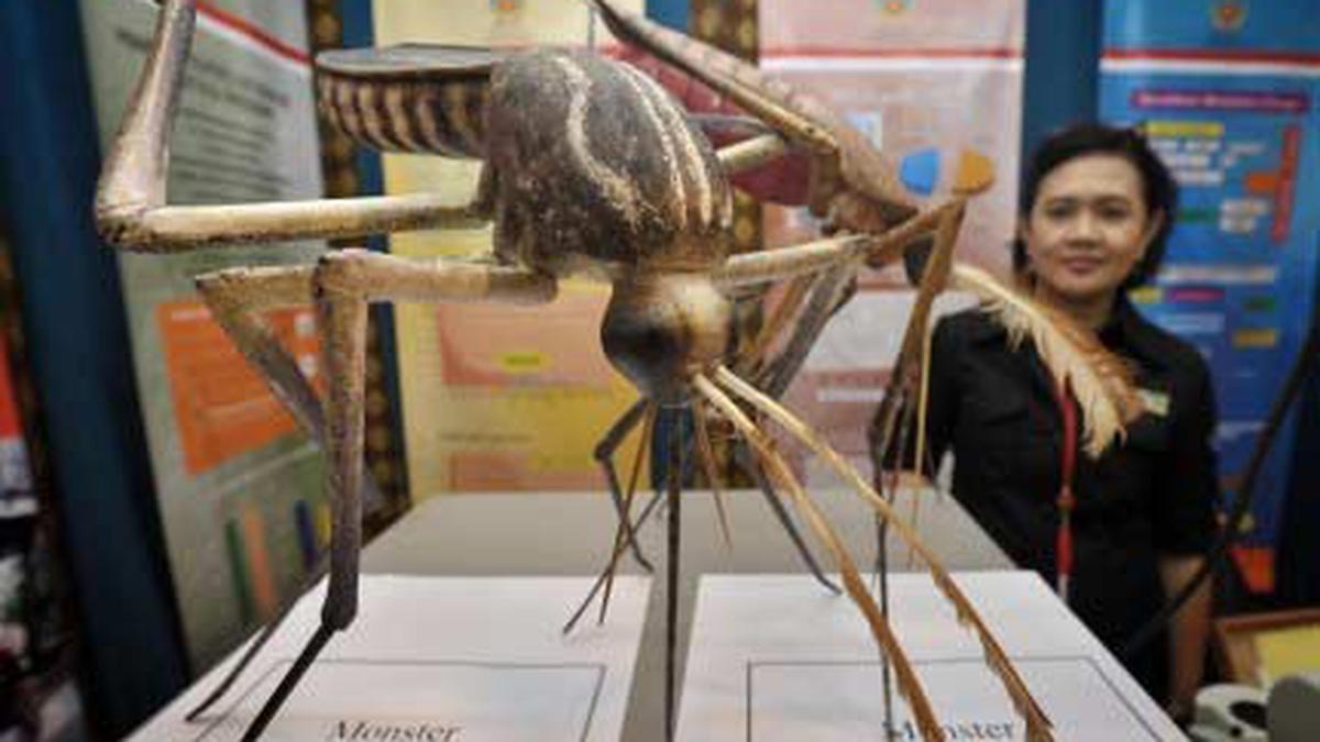 Delegasi negara Indonesia mengamati replika nyamuk saat kampanye Anti ...