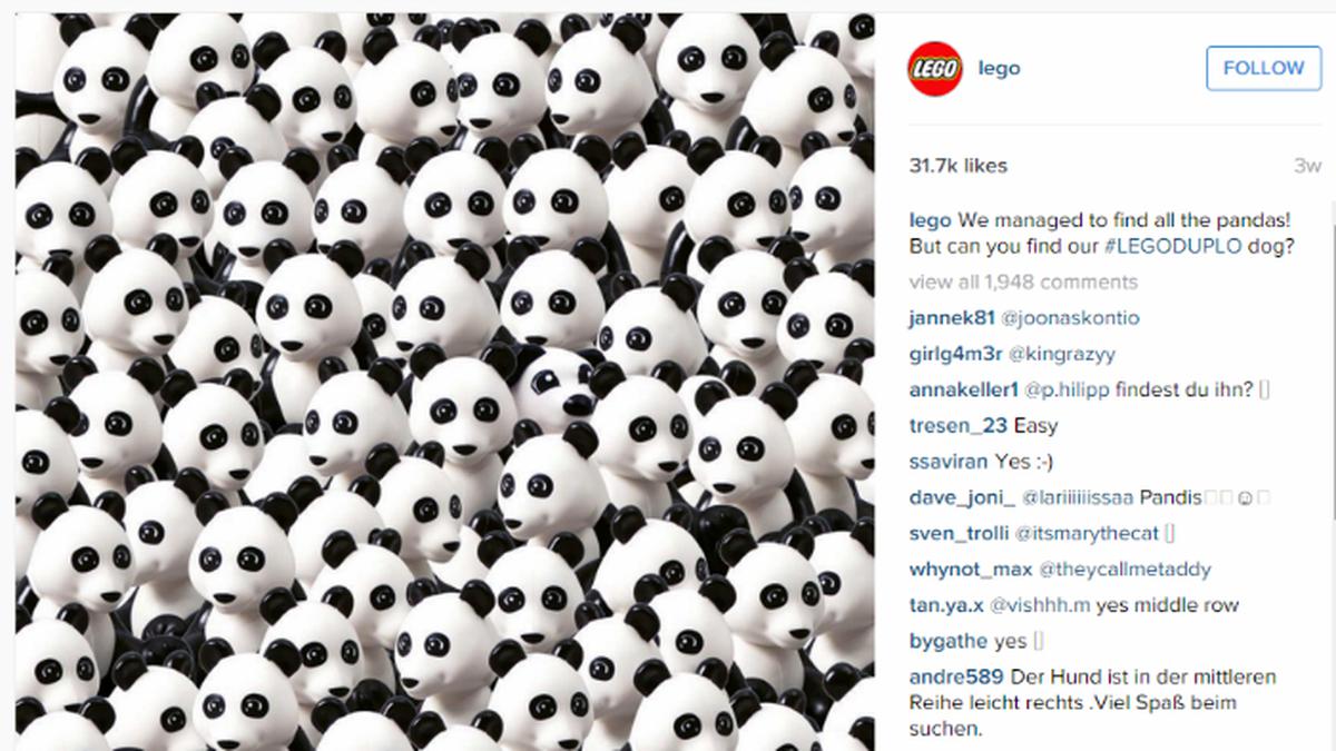 Teka-Teki Mencari Anjing Dikerumunan Panda yang Jadi Viral - Global ...