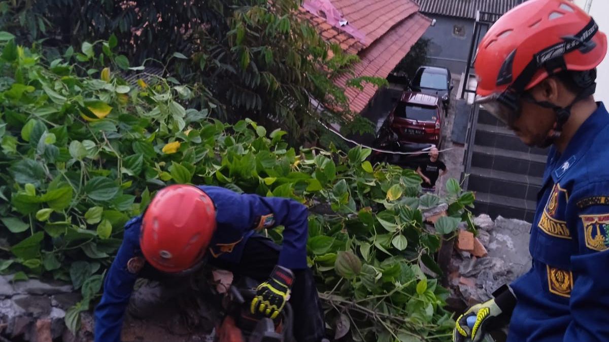 Tembok Rumah di Kembangan Runtuh Timpa Pekerja, Satu Orang Tewas - News ...