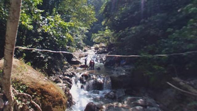 10 Rekomendasi Curug di Bogor Rating Tertinggi di 2025: Liburan Menyegarkan