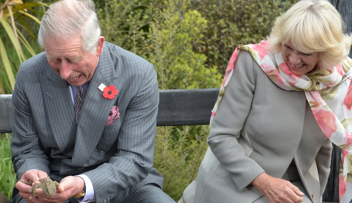 Tingkah Lucu Pangeran Charles Saat Pegang Kadal Tuatara - Foto Liputan6.com