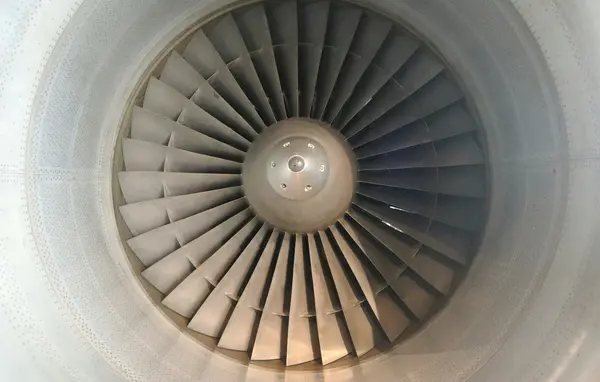 Krenasi Adalah Proses Penyusutan Sel dalam Larutan Hipertonik, Pahami ...