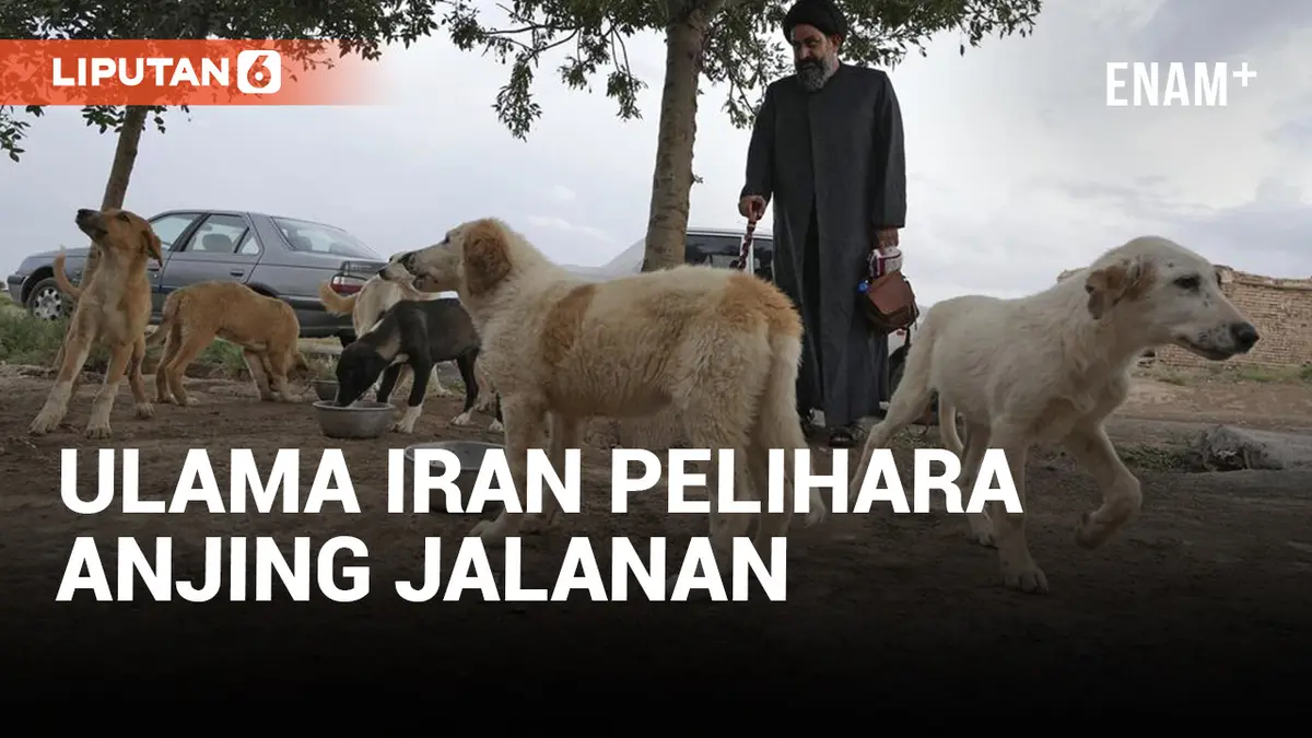 Berita ulama iran Hari Ini - Kabar Terbaru Terkini | Liputan6.com