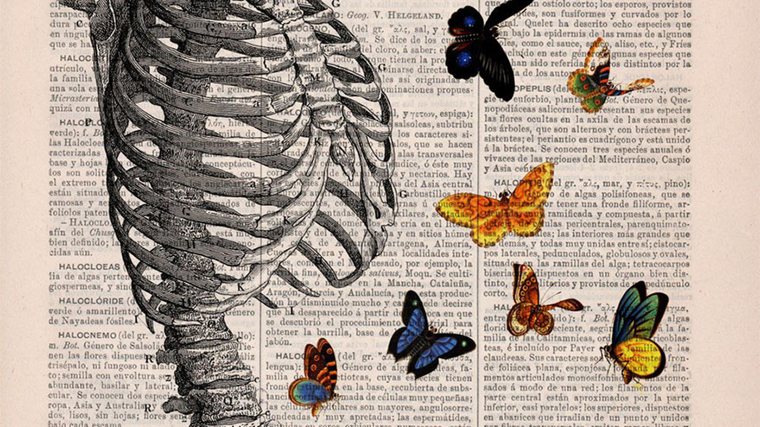 Belajar Anatomi Dasar, Ini Daftar Bagian Tubuh Manusia dan Perannya ...