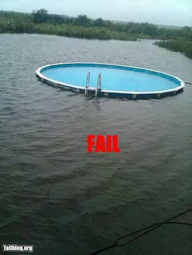 7 Potret Apes Orang Main di Kolam Renang Ini Bikin Geleng Kepala