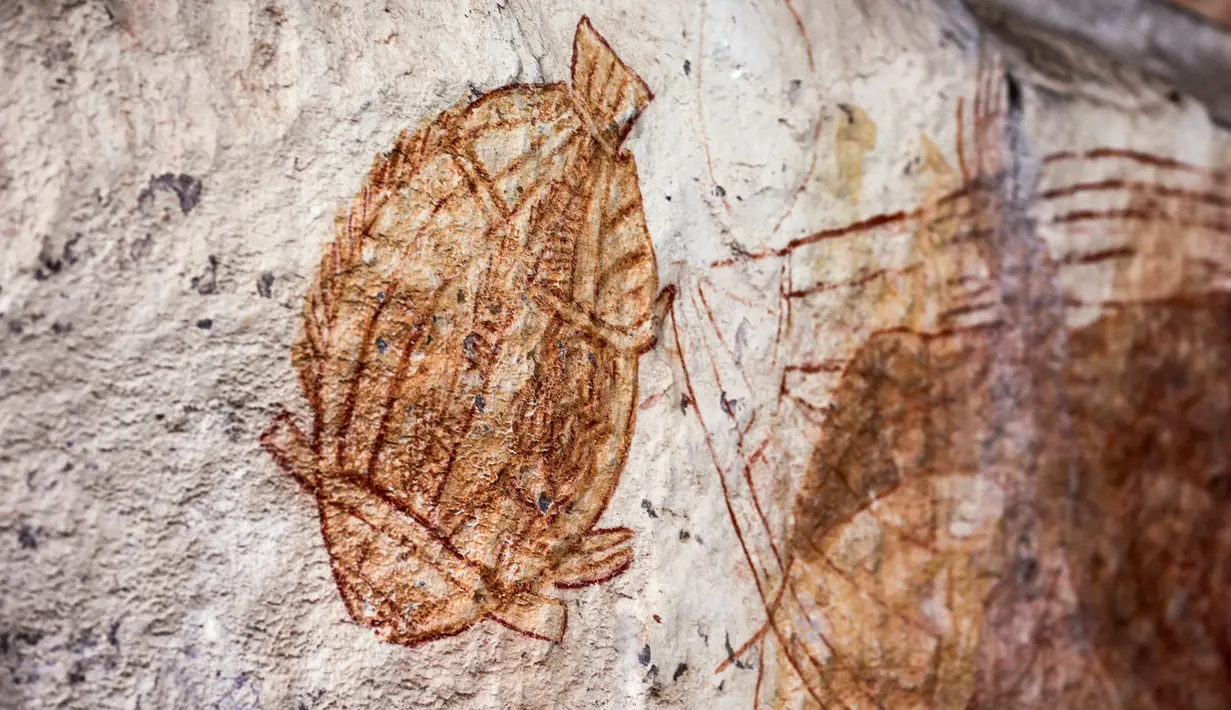 Mengunjungi Taman Nasional Kakadu, Salah Satu Warisan Dunia di ...
