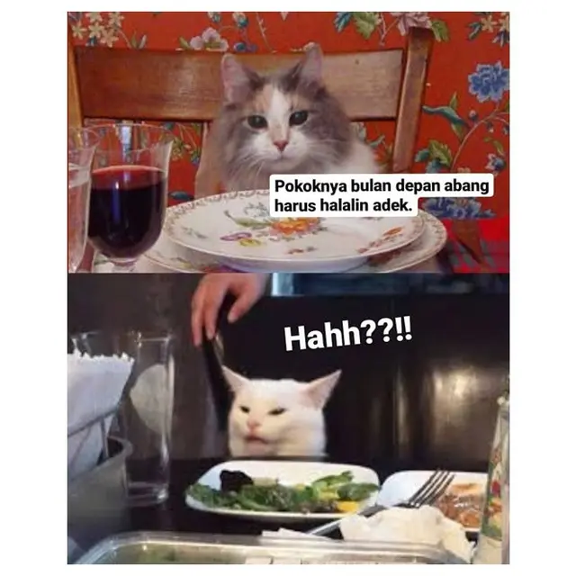 7 Meme Kucing Romantis Minta Dinikahi Ini Bikin Senyum Sendiri - Hot ...